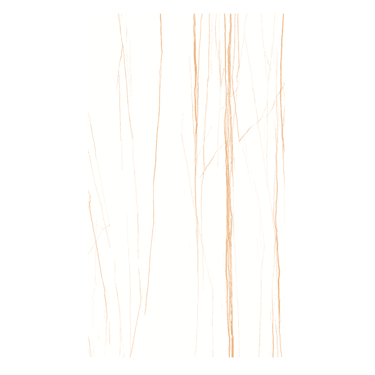 Natural Spider Gold | White Ceramic Tiles | Floor & Wall | Living Room ...