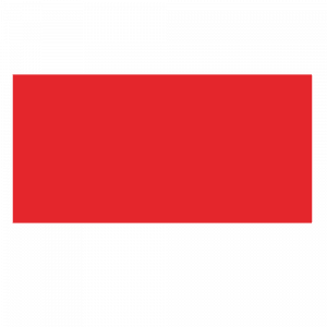 Blood Red 100x200 Diamond Glossy Series | Exclusive Ceramic Subway ...