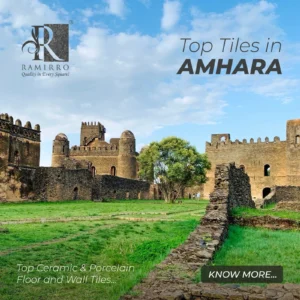 Ramirro: Porcelain Tiles and Ceramic Tiles | Manufacturer & Exporter.